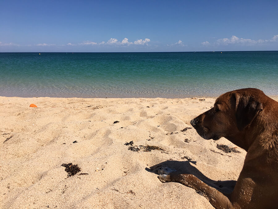 Bundegi-Cape-Range-National-Park - Ningaloo Reef